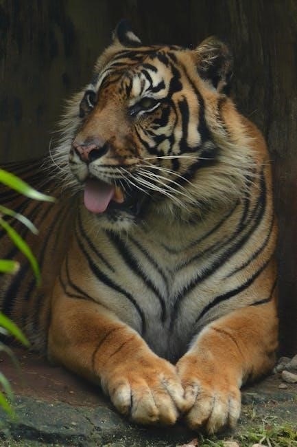 Tiger Cub Adventures: Your Ultimate Den Leader Guide!
